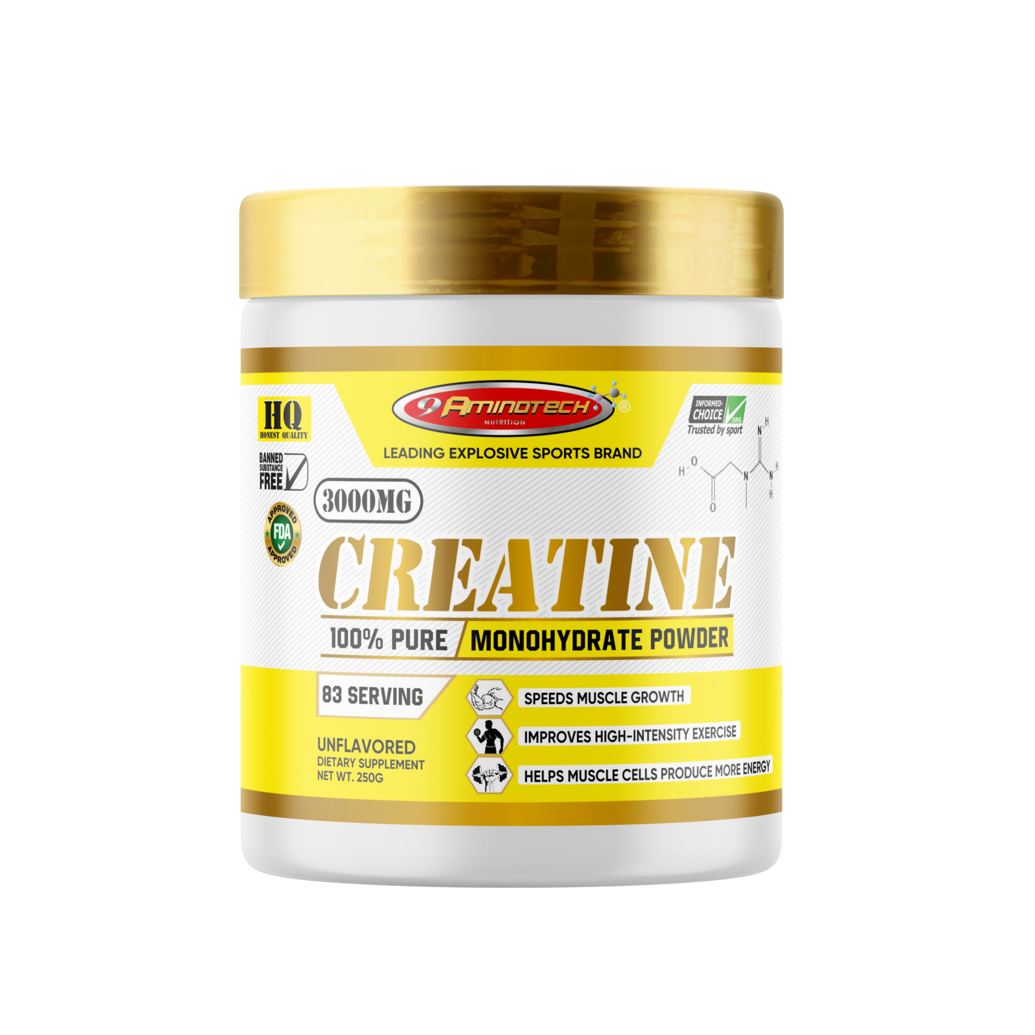 CREATINE 100%PURE MONOHYDRATE - PRITHVI NUTRITION WORLD